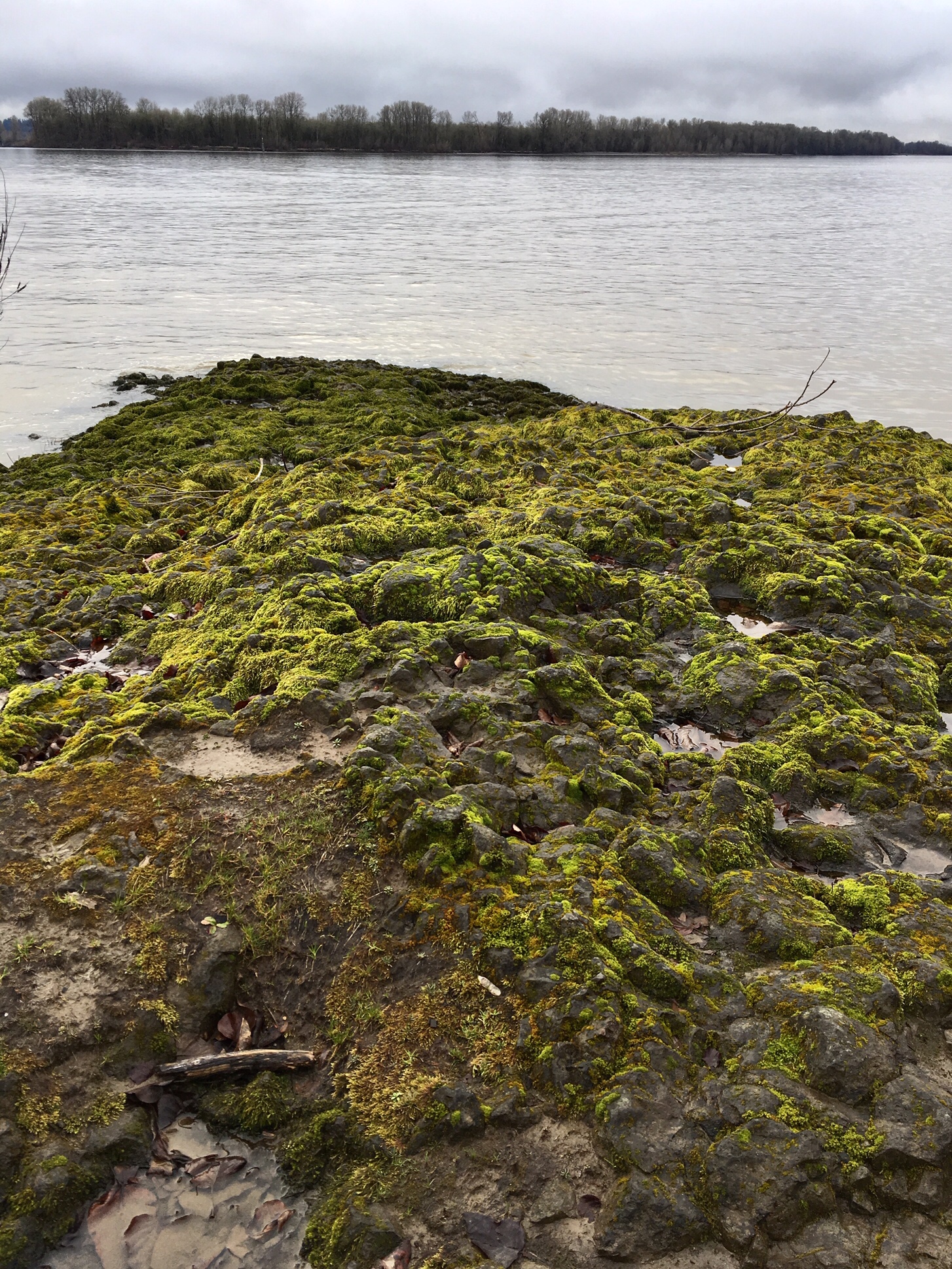 February 2019 – Sauvie Island – Warrior Rock Lighthouse | Hikes from Home