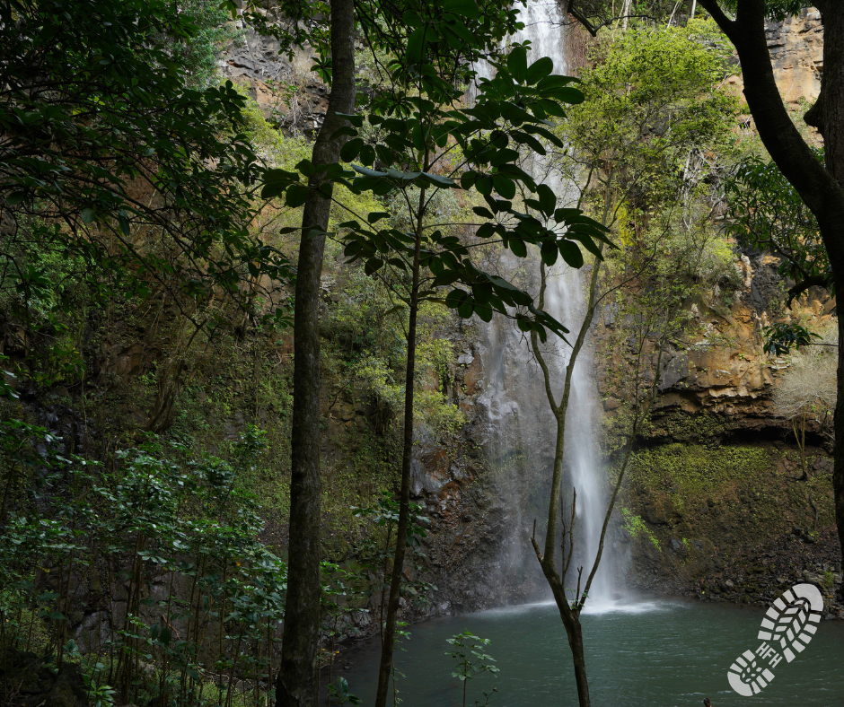 March 2019 – Kauai – Uluwehi Falls (Secret Falls) | Hikes from Home