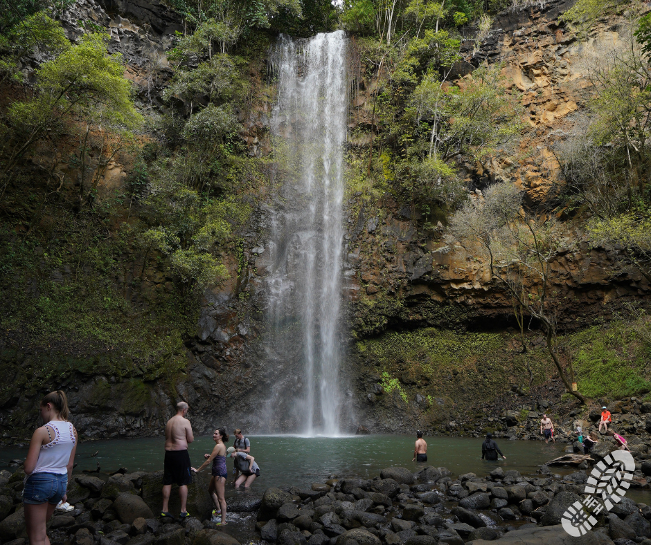 March 2019 – Kauai – Uluwehi Falls (Secret Falls) | Hikes from Home