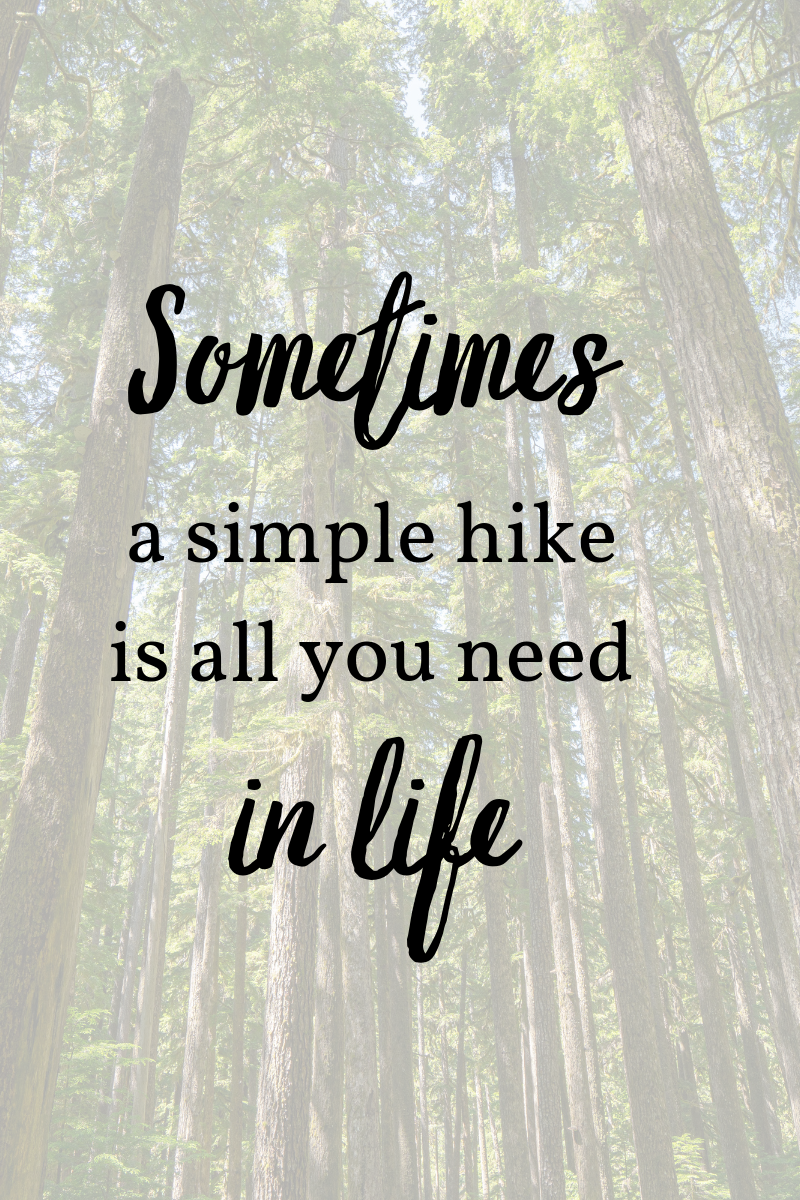 June 2019 – Olympic National Park – Sol Duc Falls | Hikes from Home