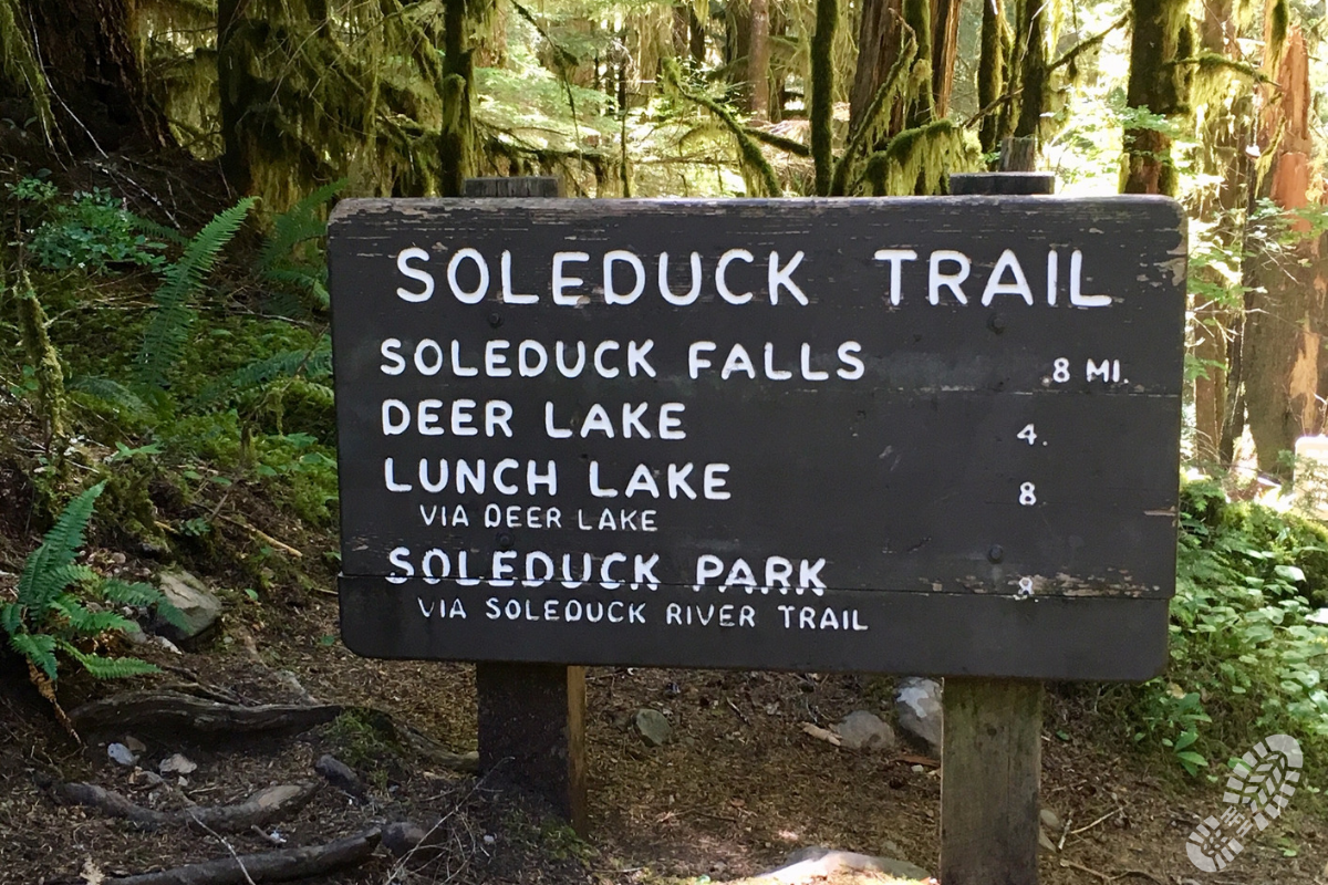 June 2019 – Olympic National Park – Sol Duc Falls | Hikes from Home