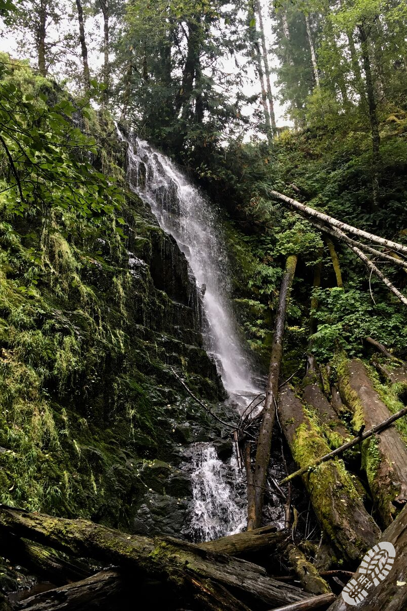 September 2019 – University Falls – Tillamook State Forest | Hikes from ...