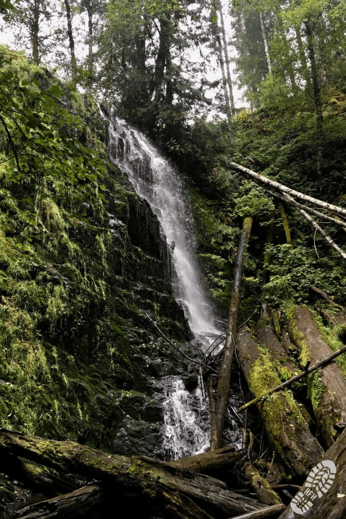 September 2019 – University Falls – Tillamook State Forest | Hikes from ...